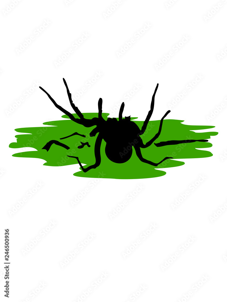 spinne tot tod matsch klatschen blut platt treten vogelspinne design ...