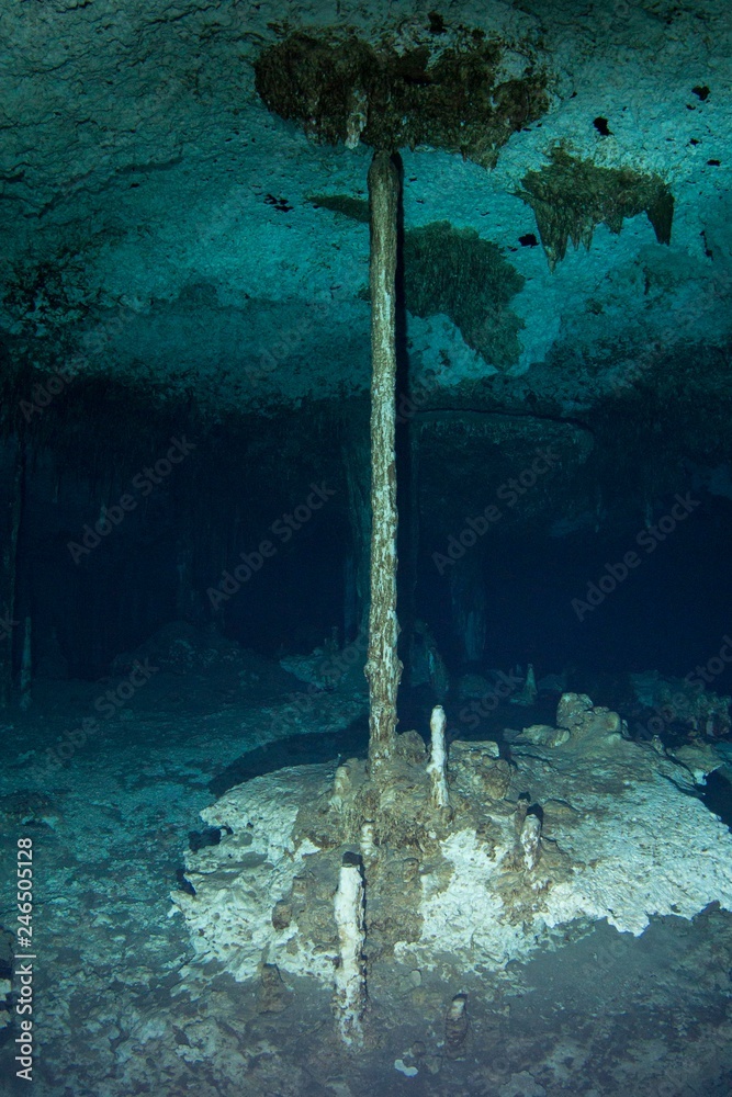 Stalagnat stalagmite column, limestone cave under water, Dos Ojos ...