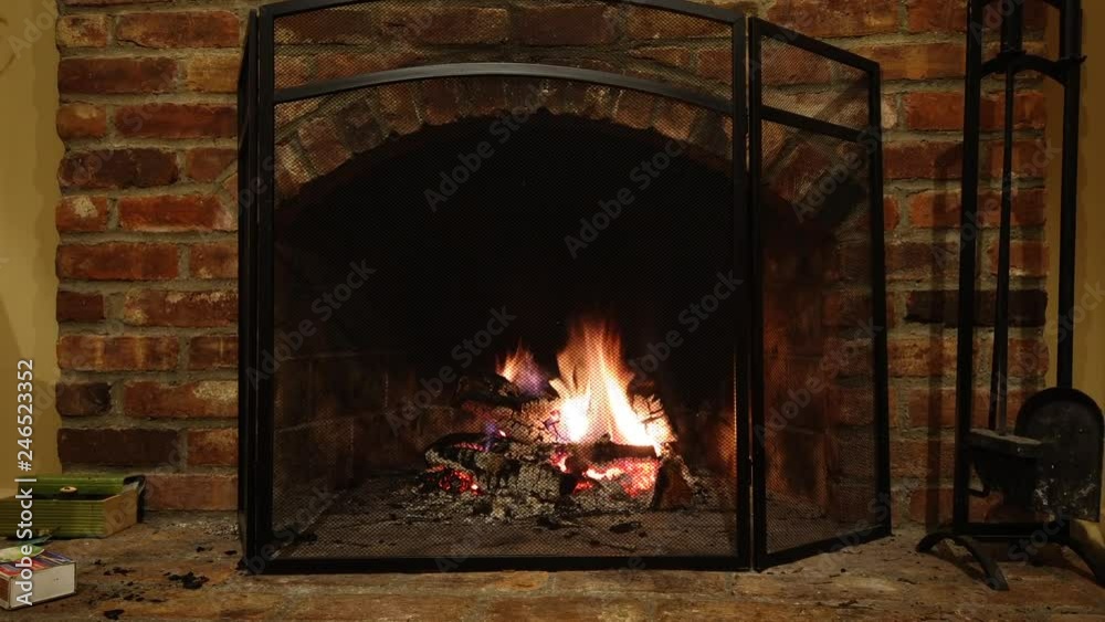 Timelapse of Burning Fire In The Fireplace with Wood And Embers ...
