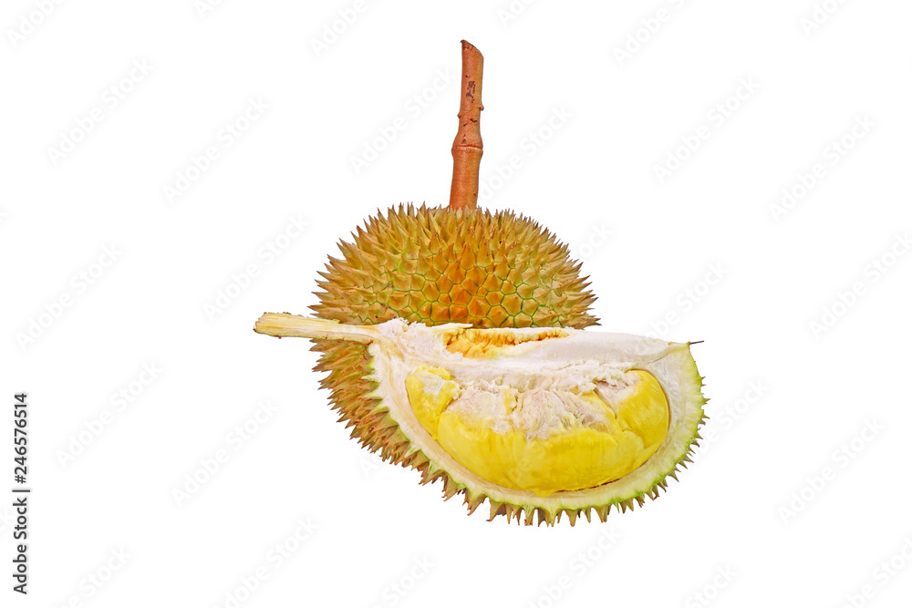 Durian the famous fruit from Thailand, it also known as The King of ...