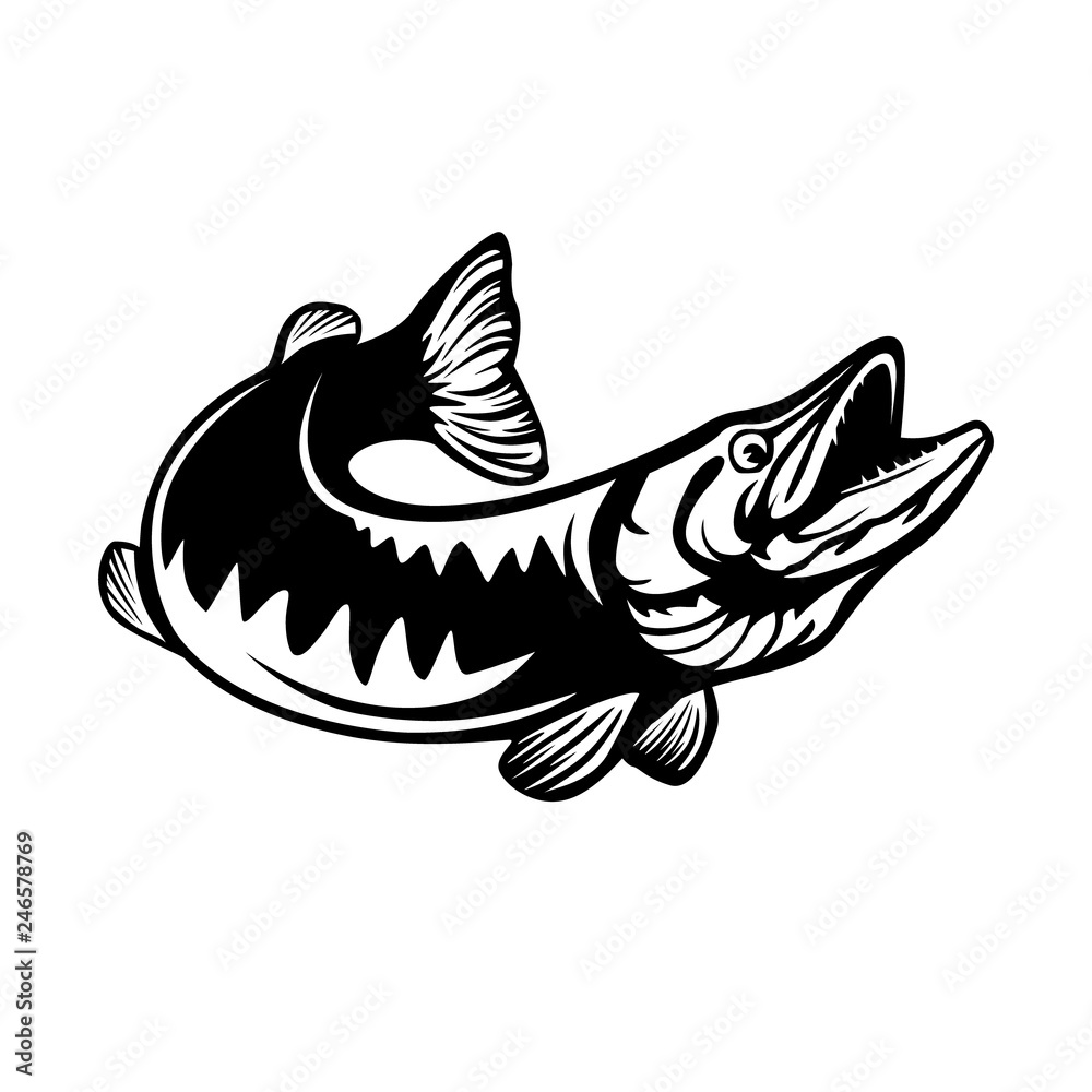 Pike fishing emblem. Pike fish logo vector. Outdoor fishing background ...