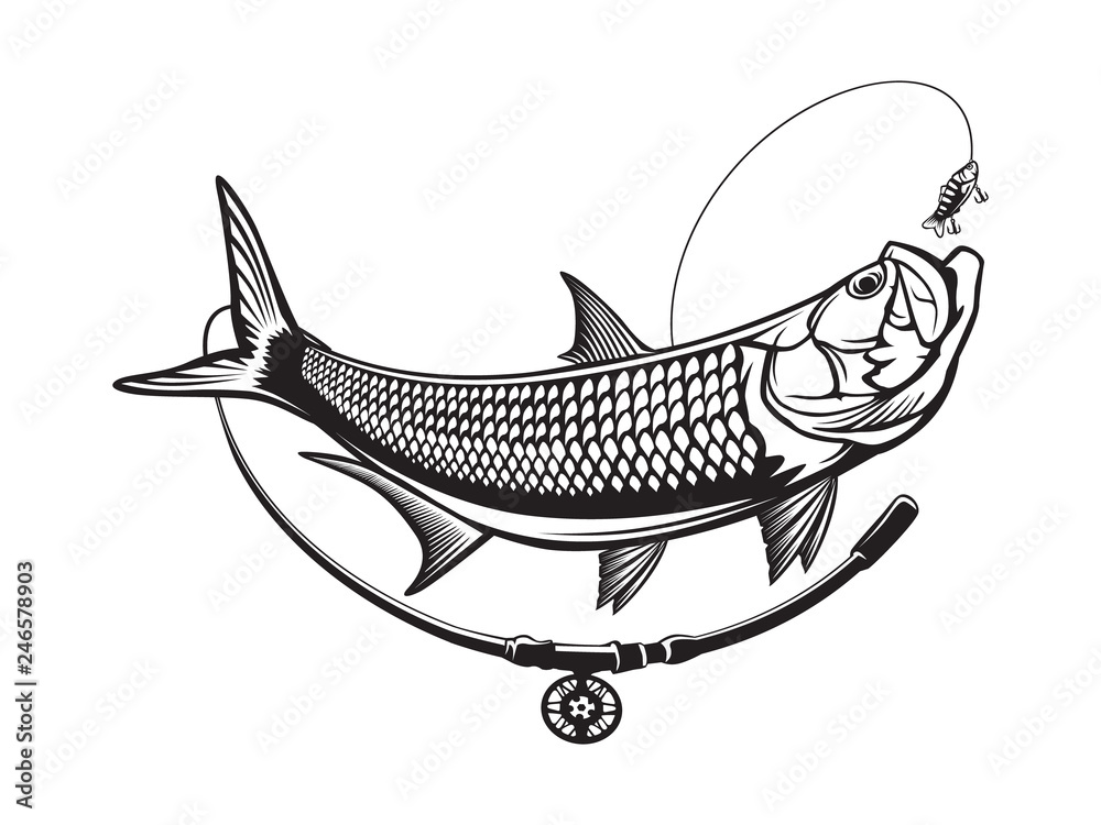 Tarpon fishing emblem. Black and white illustration of tarpon. Vector ...