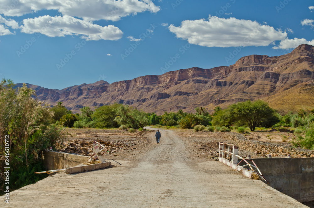 Foto de Big oasis with palm trees in Draa Valley between Sahara desert ...