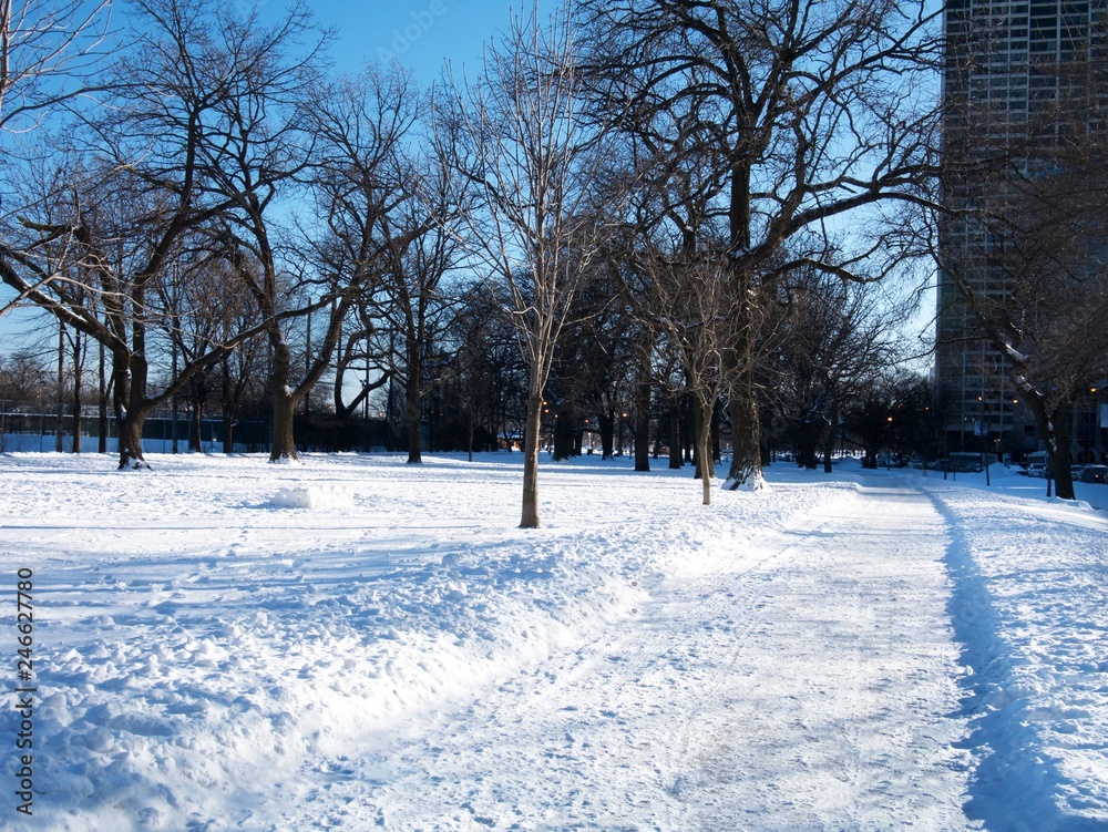 Chicago Il Snow