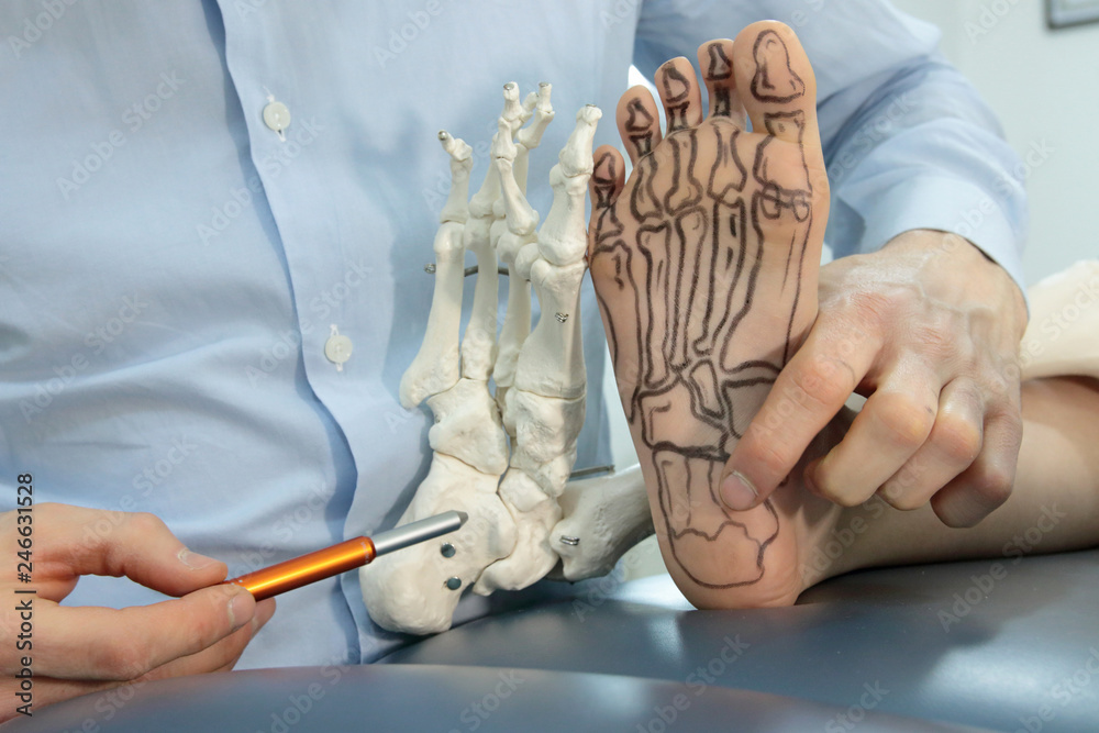 anatomy lesson -presentation of human foot with drawing of bones on the ...