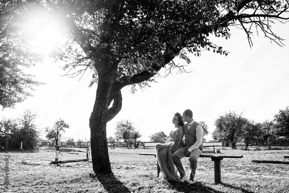 Wedding at sunset. Couple is sitting on a bench under a tree. Beige ...