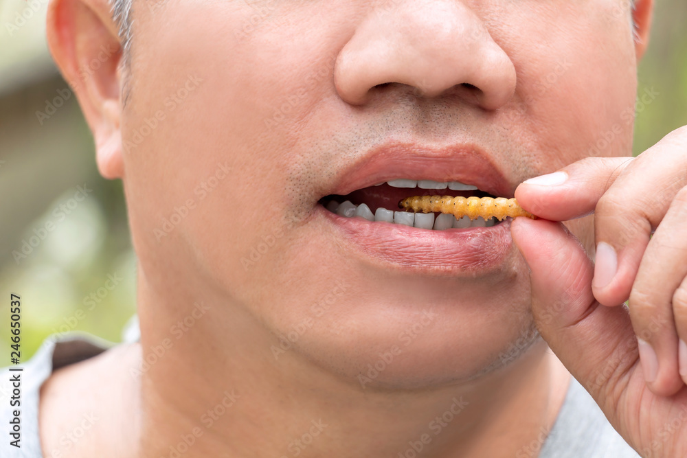 Man person opening his mouth eating Bamboo Worm insect or Bamboo ...
