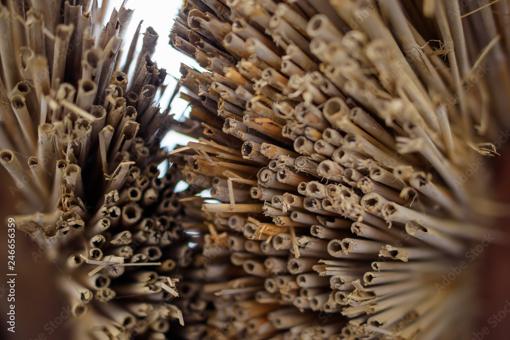 Texture of haystacks. Dry straw Roof made of dry straw. Roof. Covering ...