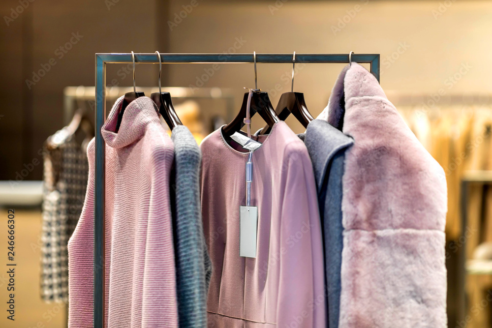 Fashion stylish luxury clothes display. Image and stylish services ...