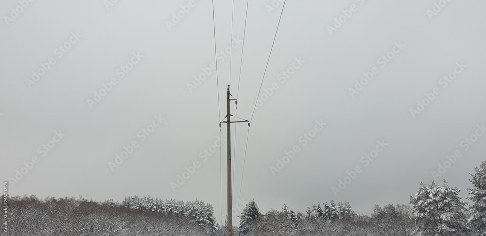 High voltage lines in the forest. Power lines in the winter forest ...