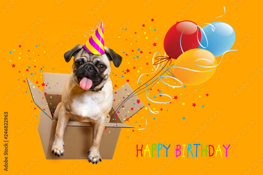 E Card Happy Birthday Pug