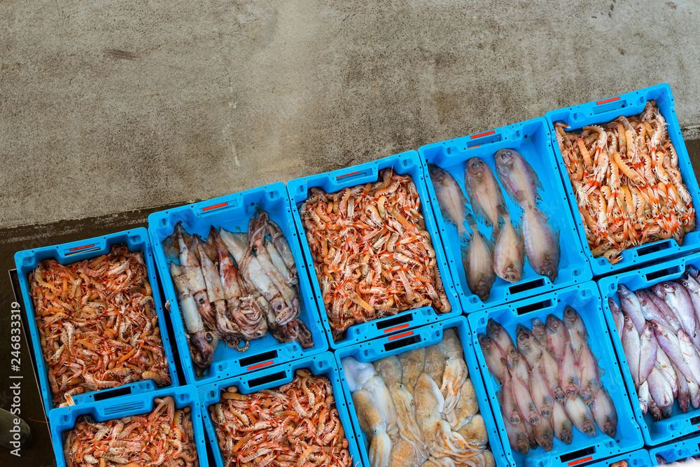 Blue plastic containers with catch of sea fish, shrimp, octopus, squid ...