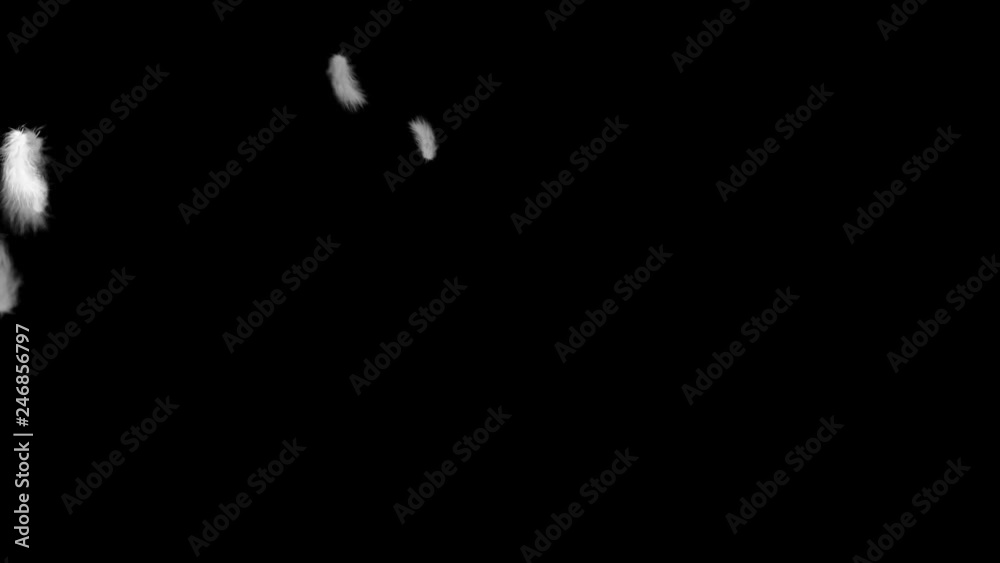 White fluffy feathers fly in the air on a black background HD 1920x1080 ...