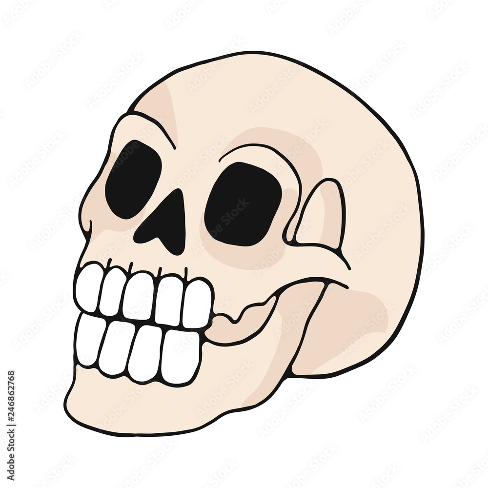 human skull cartoon vector illustration motif set. Hand drawn isolated ...