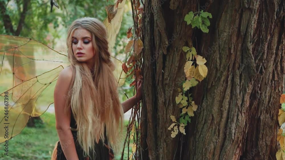 a pretty blonde lady hugs a wonderful forest tree and looks back at the ...