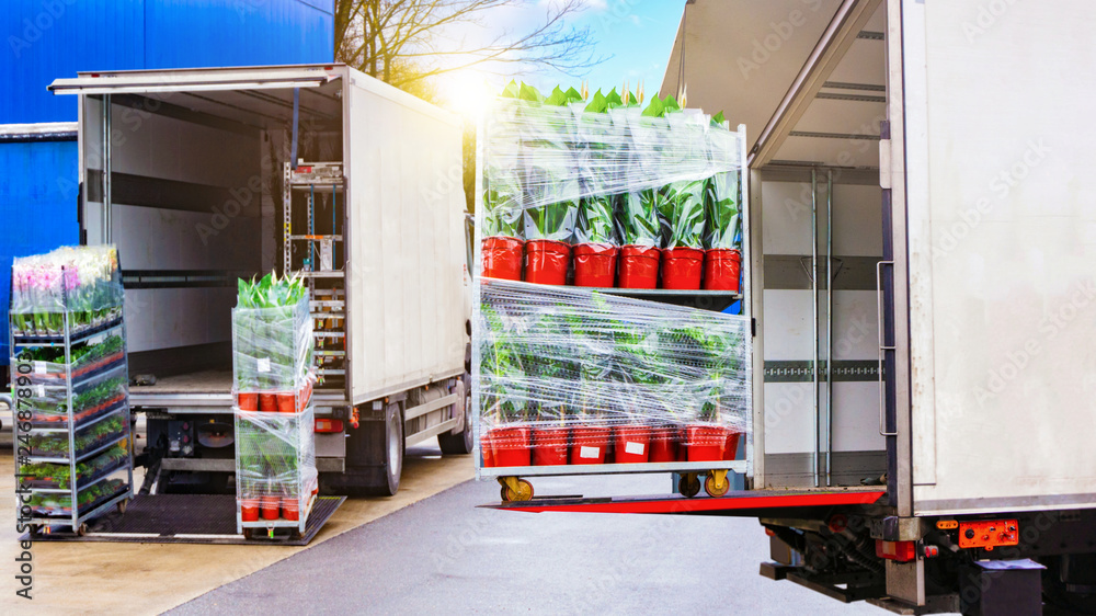 Open delivery truck loaded with pot plants pallets . There is a loading ...