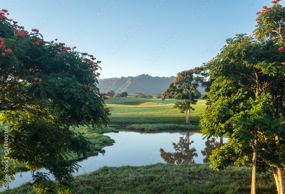 Flowering trees frame view of the Na Pali mountains over fairy tale ...
