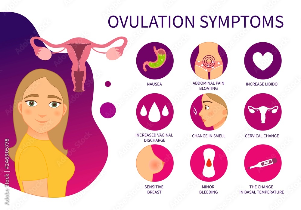 Vector poster ovulation symptoms. Illustration of a cute girl. Stock ...
