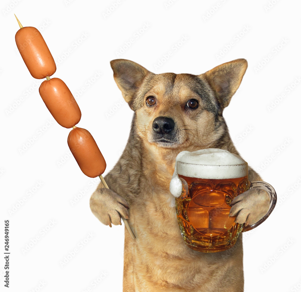 The mongrel dog is holding a mug of beer and a sausage skewer. Isolated ...