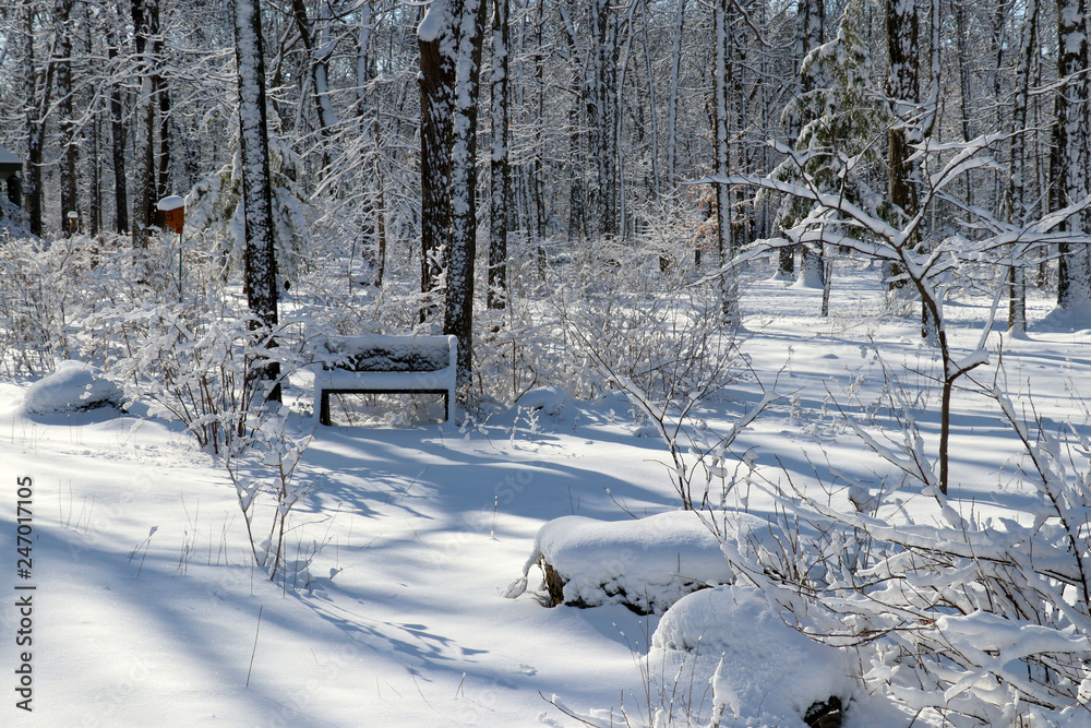 Beautiful winter morning after snowfall background. Scenic snowy ...