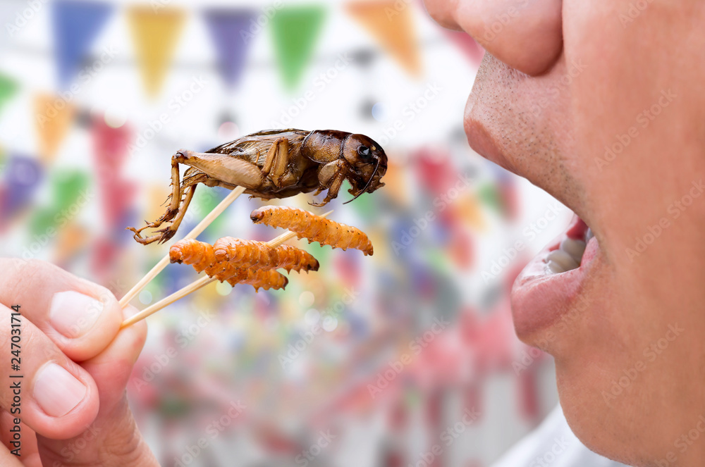 Man happy opening his mouth eating Bamboo Worms and Crickets insect on ...