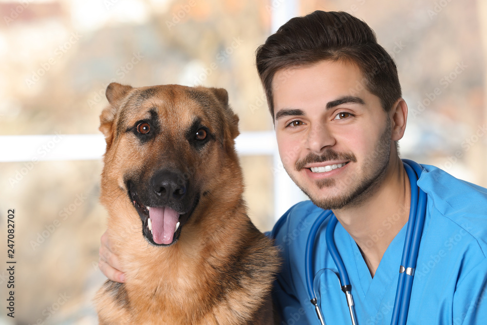 Veterinarian doc with dog in animal clinic Stock Photo | Adobe Stock