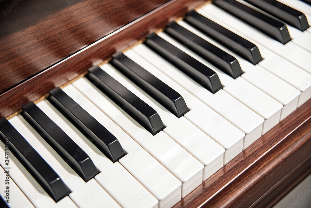 Western Musical Instruments Piano