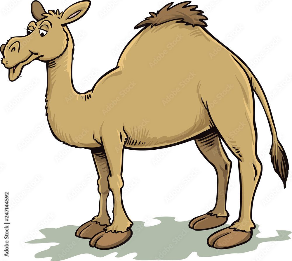Cartoon camel Stock Vector | Adobe Stock