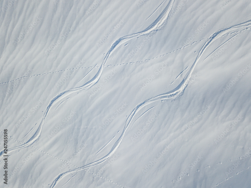 Powder Skiing Tracks