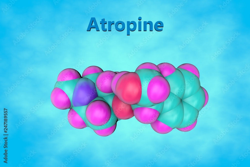 Molecular structure of atropine. Atoms are represented as spheres with ...