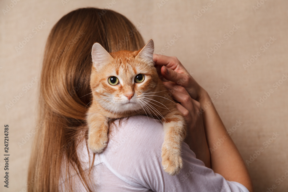 Red Tabby Cat