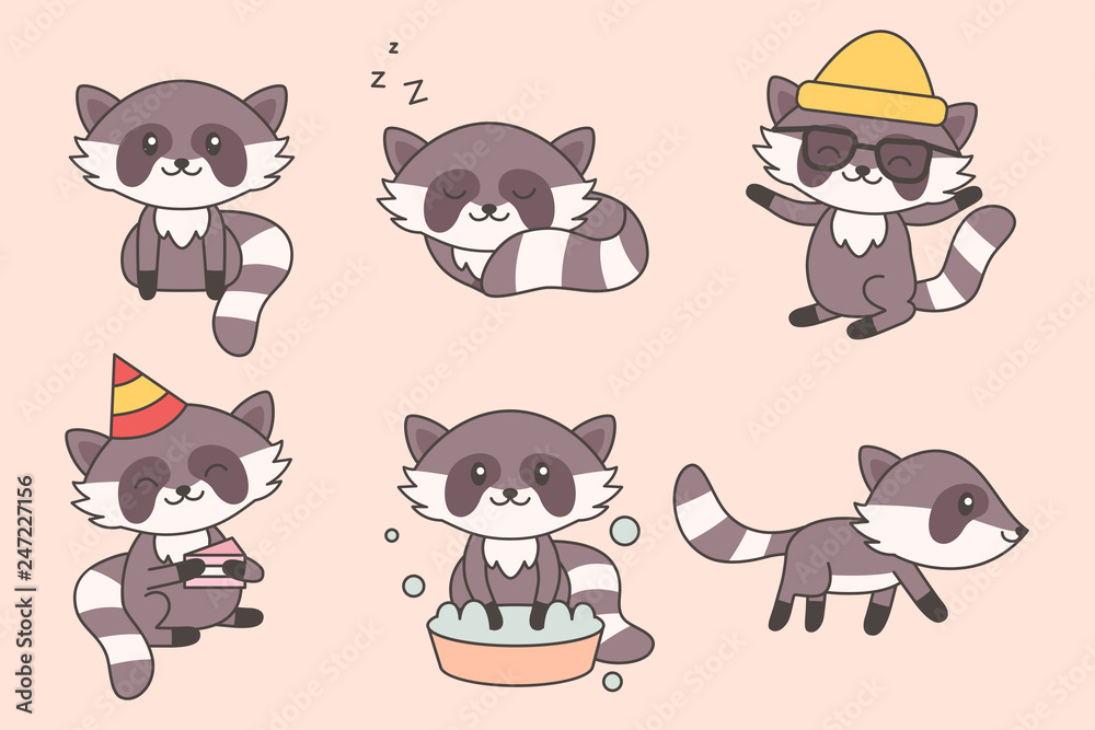 Cute Raccoon Anime
