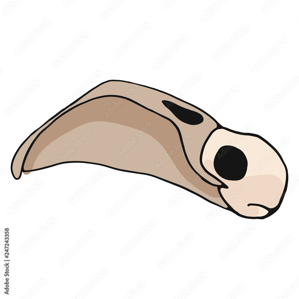 Flamingo skull cartoon vector illustration motif set. Hand drawn ...