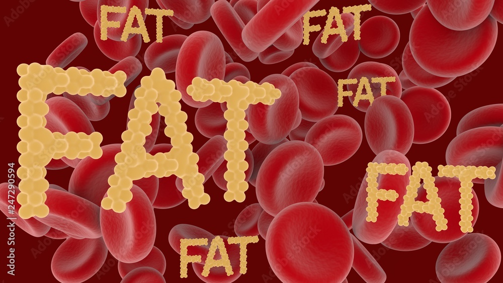 Rendering red blood cells and the words fat from fat cells on red ...