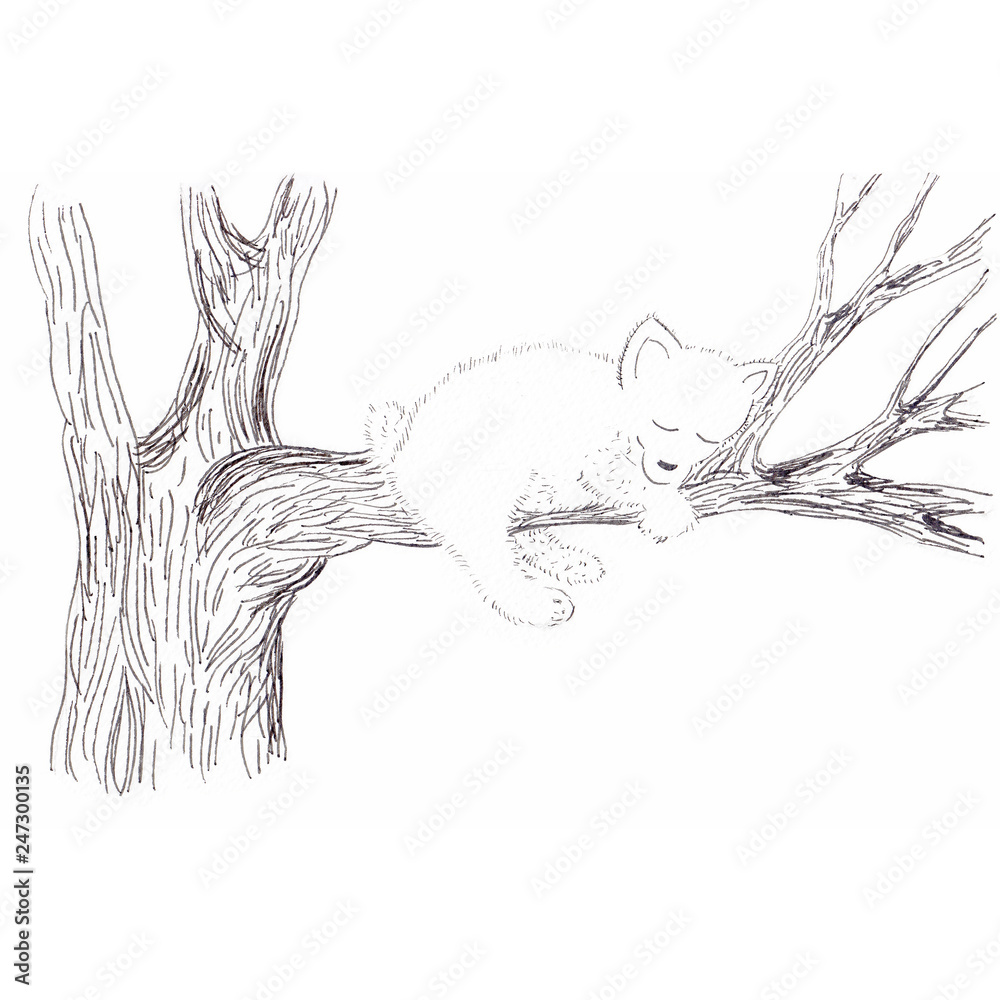 Bear sleeping sketch, cute bear cub sleeping on a tree trunk, hand ...