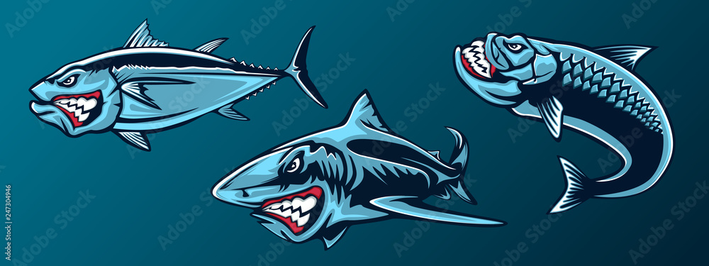 Fishing set of angry tuna, shark and piranha. Fishing emblem of ocean ...