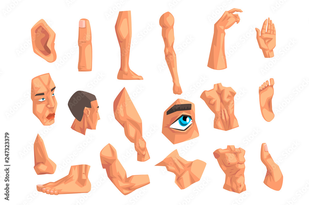 Male body parts set of vector Illustrations on a white background Stock ...