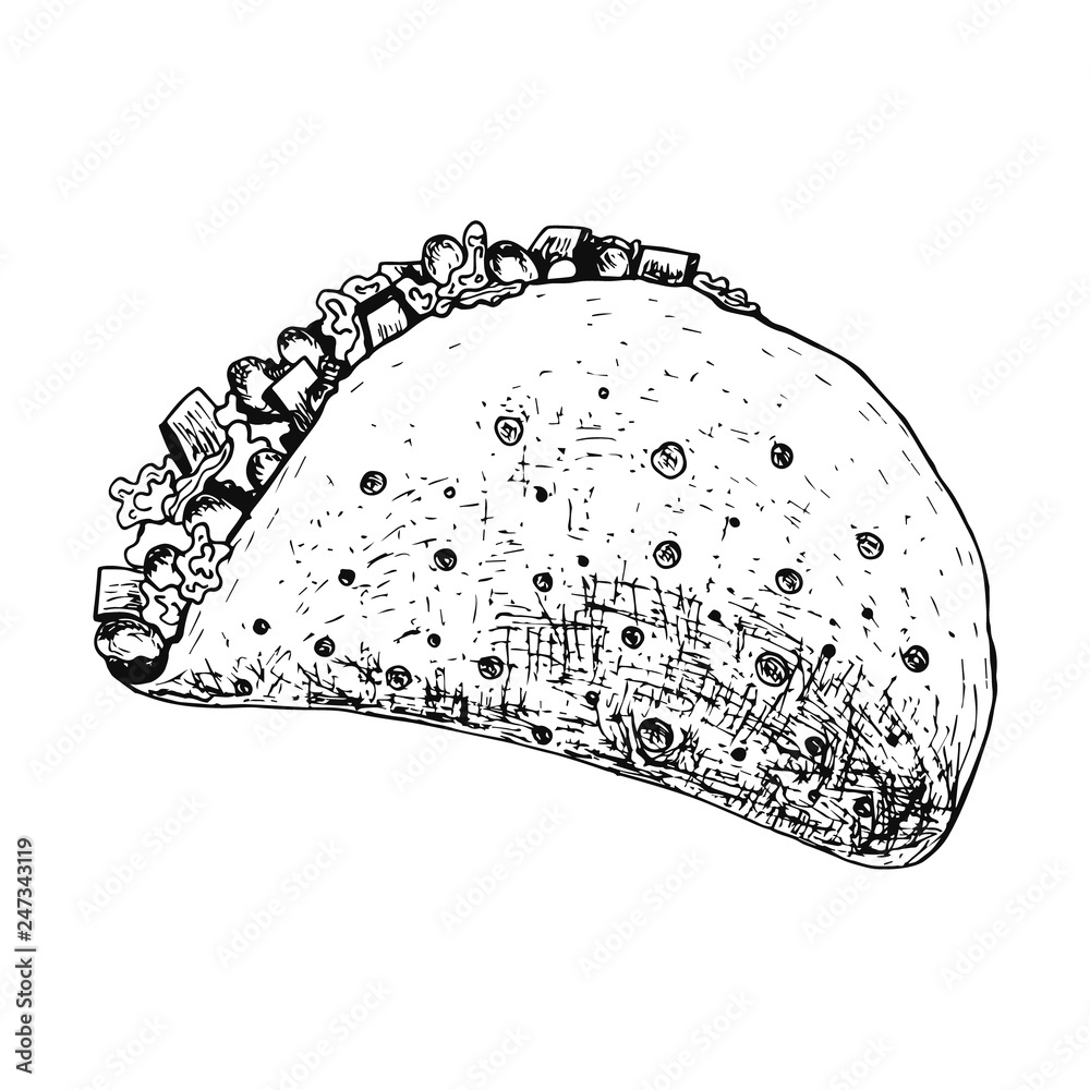 Black ink pen isolated vector outline mexican taco sketch. Detailed ...