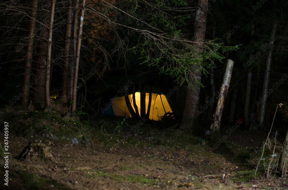 tent illuminated from inside in a forest at night Stock Photo | Adobe Stock