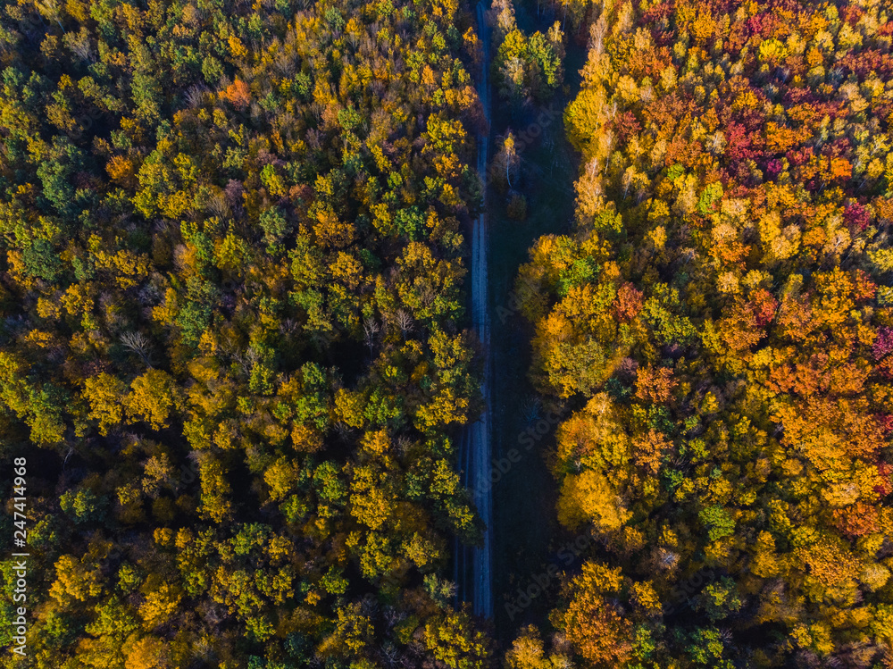 Aerial Habitat Animals