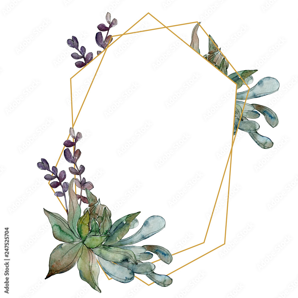 Jungle botanical succulent. Watercolor background illustration set ...