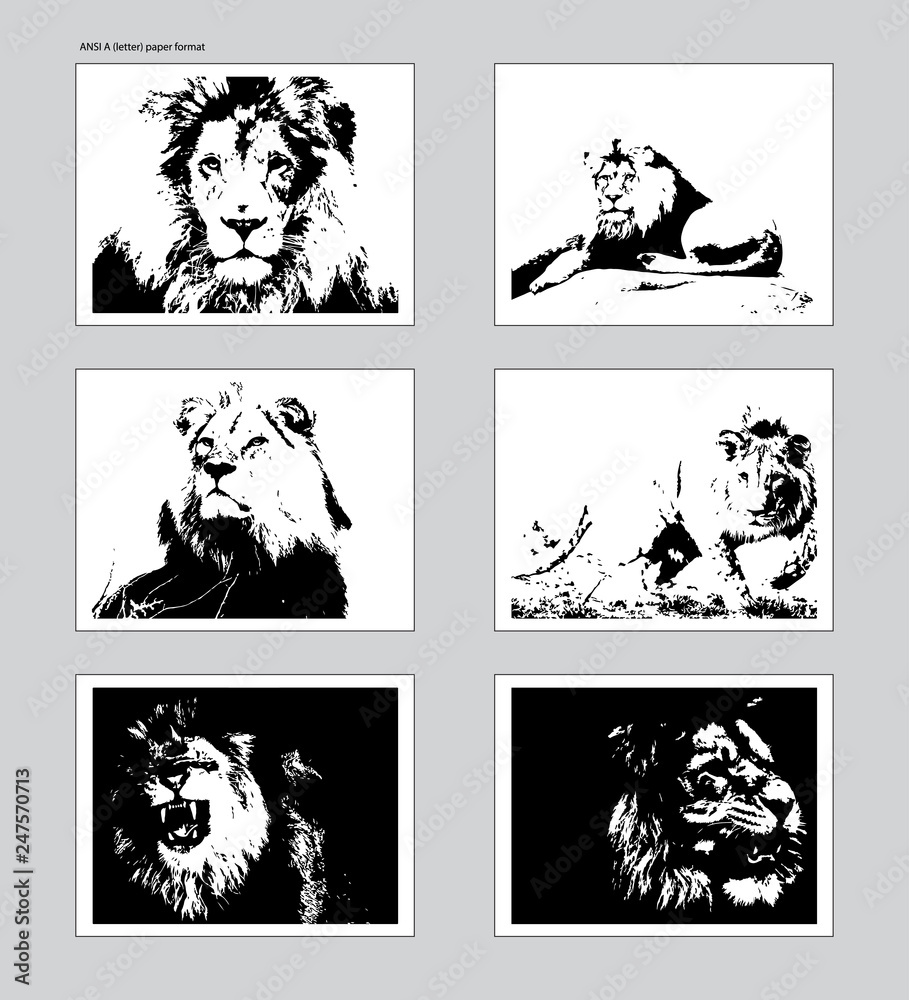 Six vector posters with traced lion heads. Ansi A format mockup Stock ...