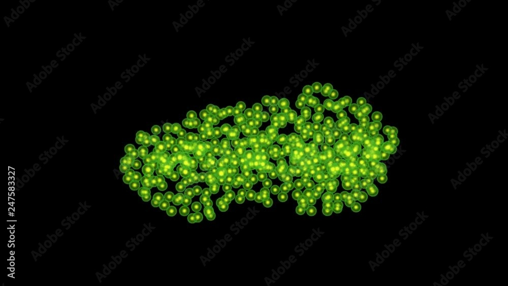 Microscopic life, virus, algae, cells, bacteria multiplying ...