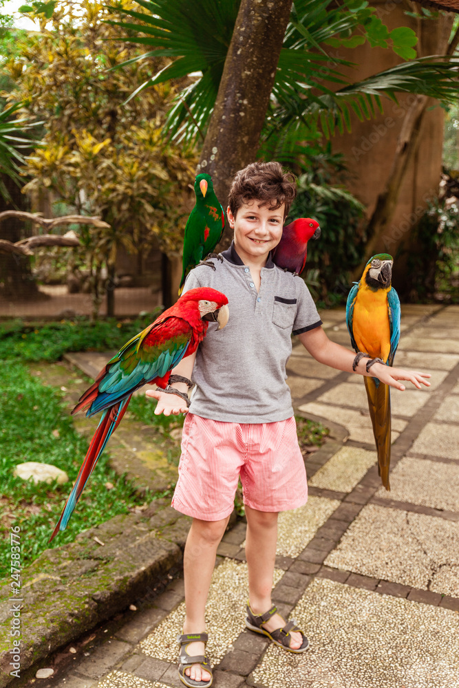 Young cute smiling boy standing with colorful parrots on his arms in ...