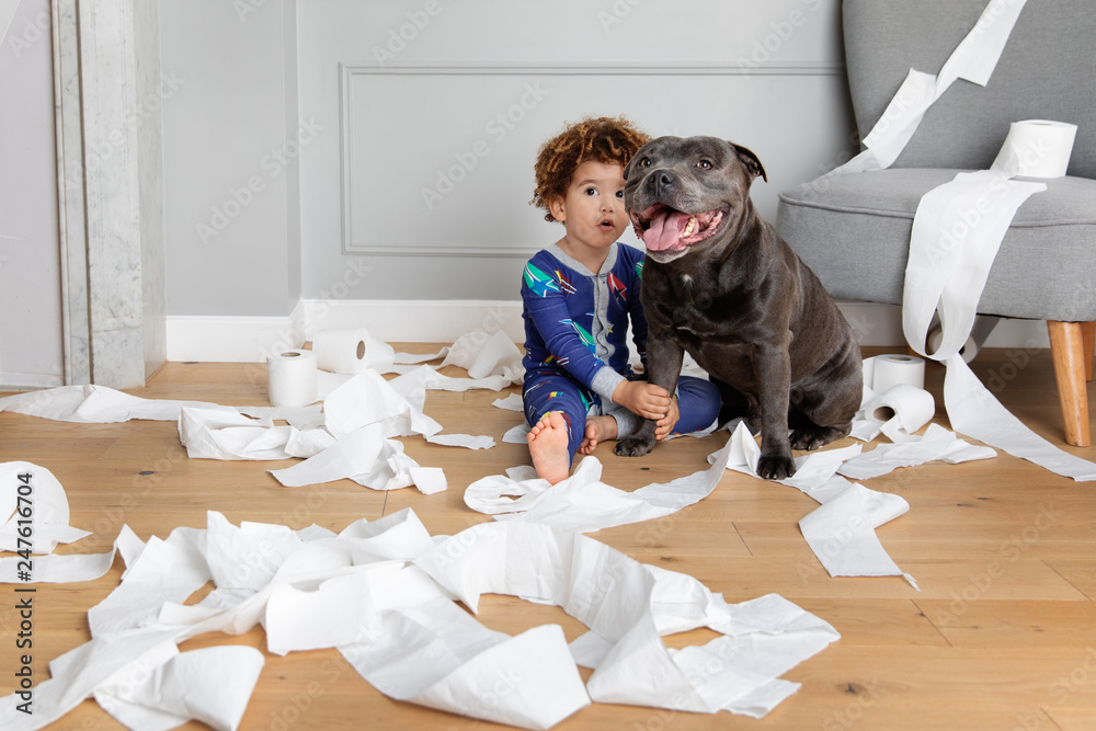 Mischievous boy and dog play with toilet paper rolls Stock Photo ...