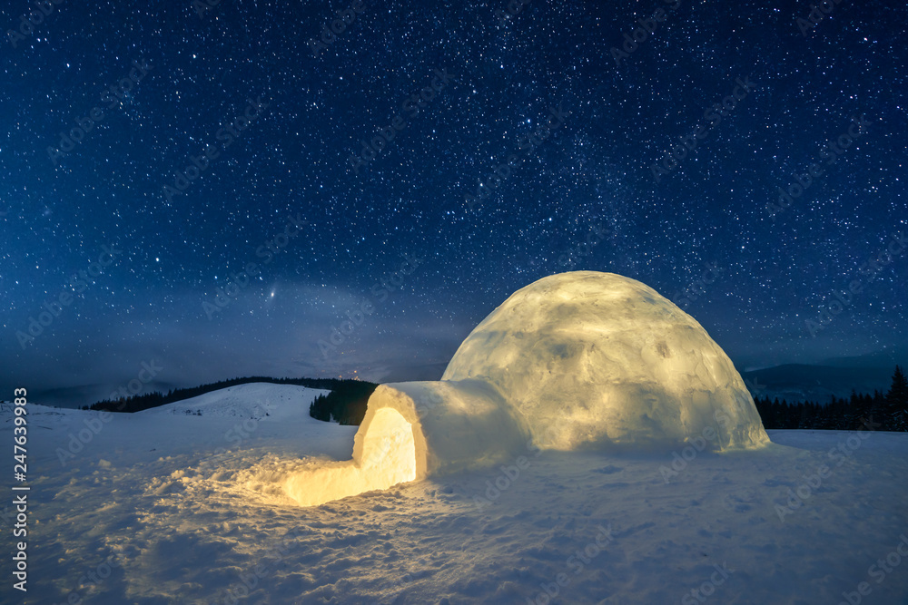 Fantastic winter landscape glowing by star light. Wintry scene with ...