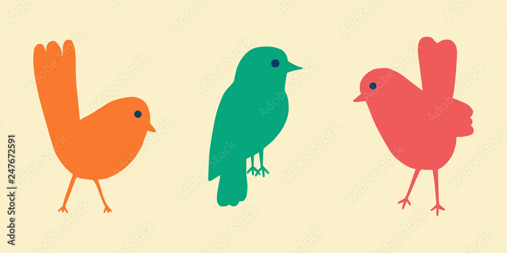 Cartoon style vector illustration of three colorful birds. Great design ...