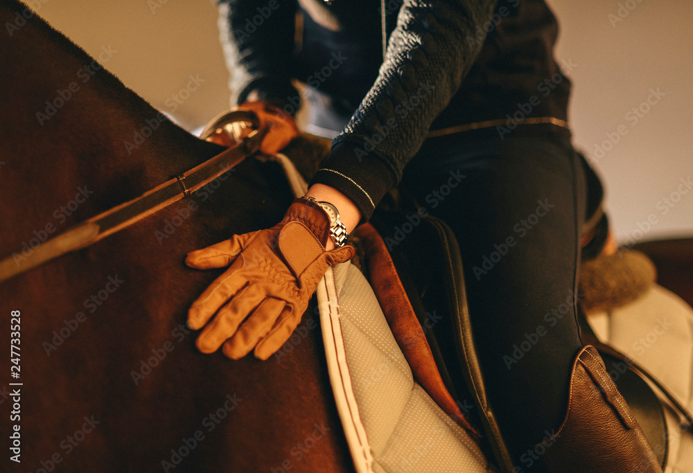 equestrian horse training Stock Photo | Adobe Stock