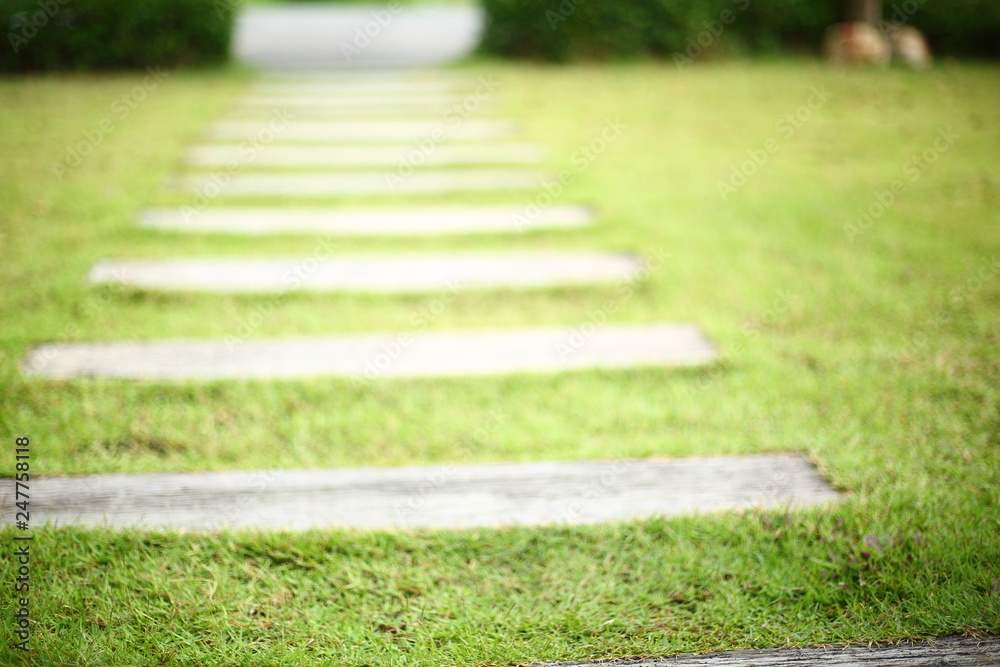 pathway pavement step on green grass front yard garden foto de Stock ...