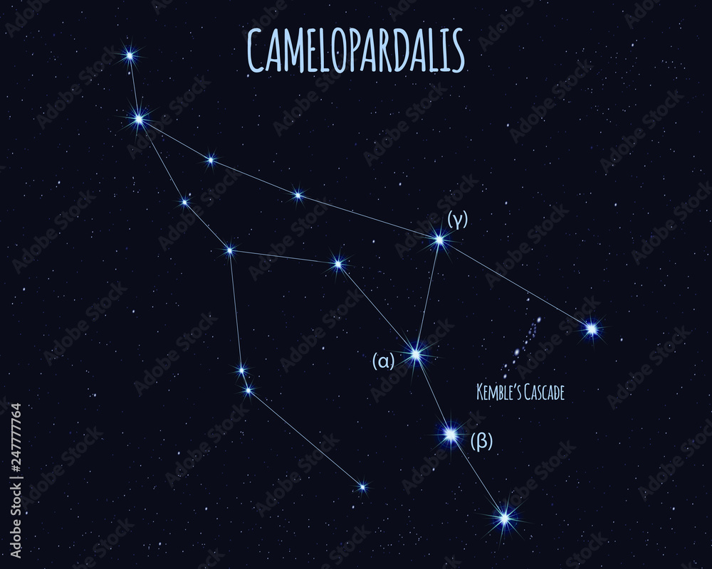 Camelopardalis (The Giraffe) constellation, vector illustration with ...
